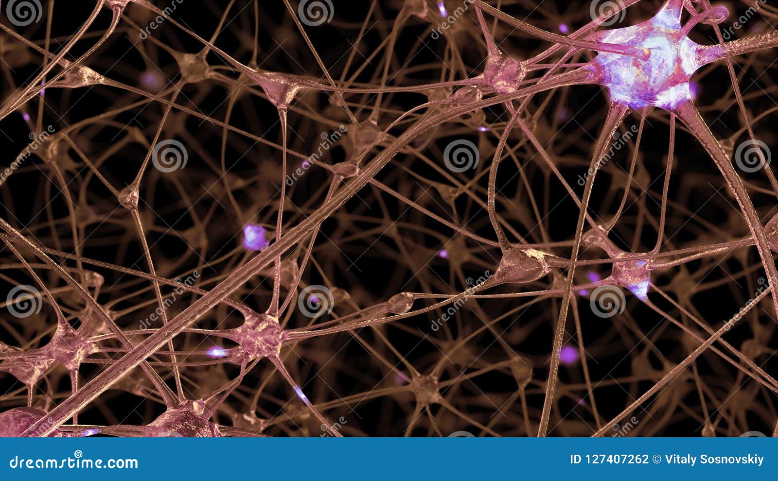 Neuron Cells. Vector Simple Design Illustartion | CartoonDealer.com ...