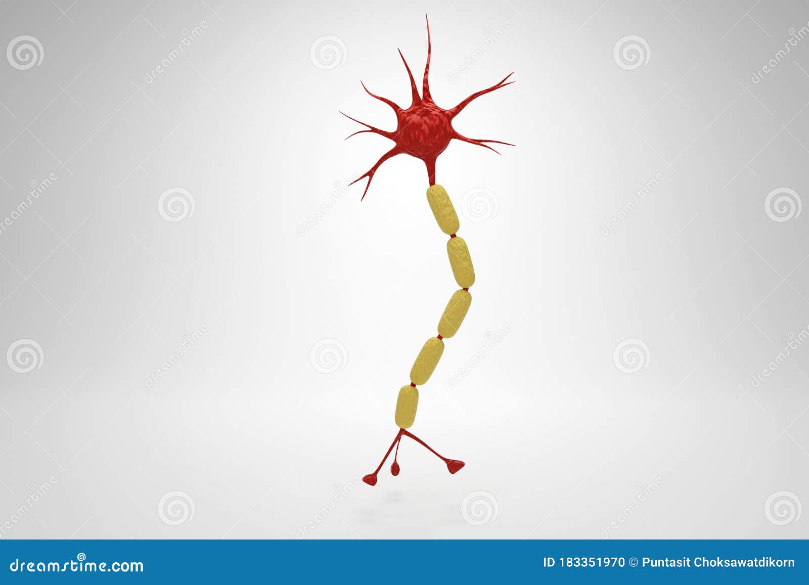 3D Rendering of Neuron Anatomy Model. Stock Illustration - Illustration ...