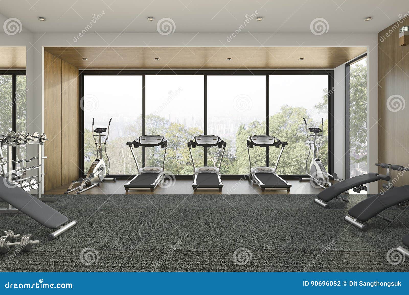 3d Rendering Nice Tree View Wood Gym and Training Room Stock ...