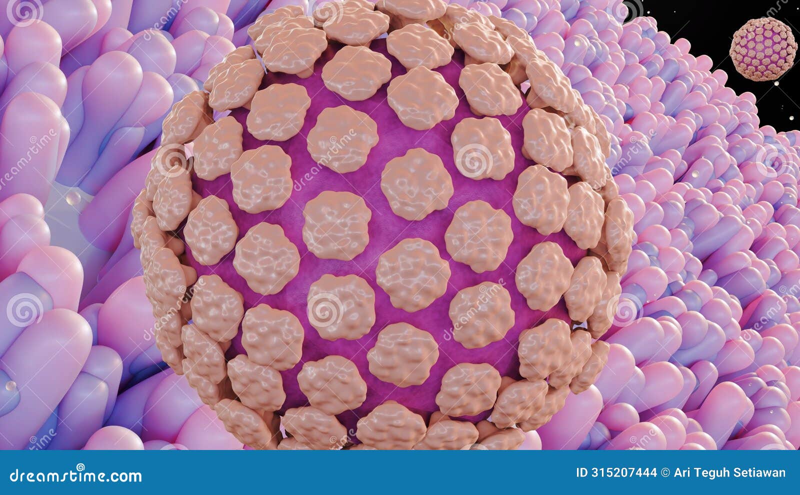 Norovirus Structure. Close-up Of A Virion Anatomy Vector Illustration ...