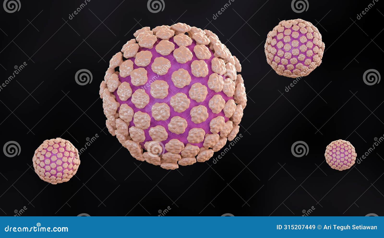 Norovirus Structure. Close-up Of A Virion Anatomy Vector Illustration ...