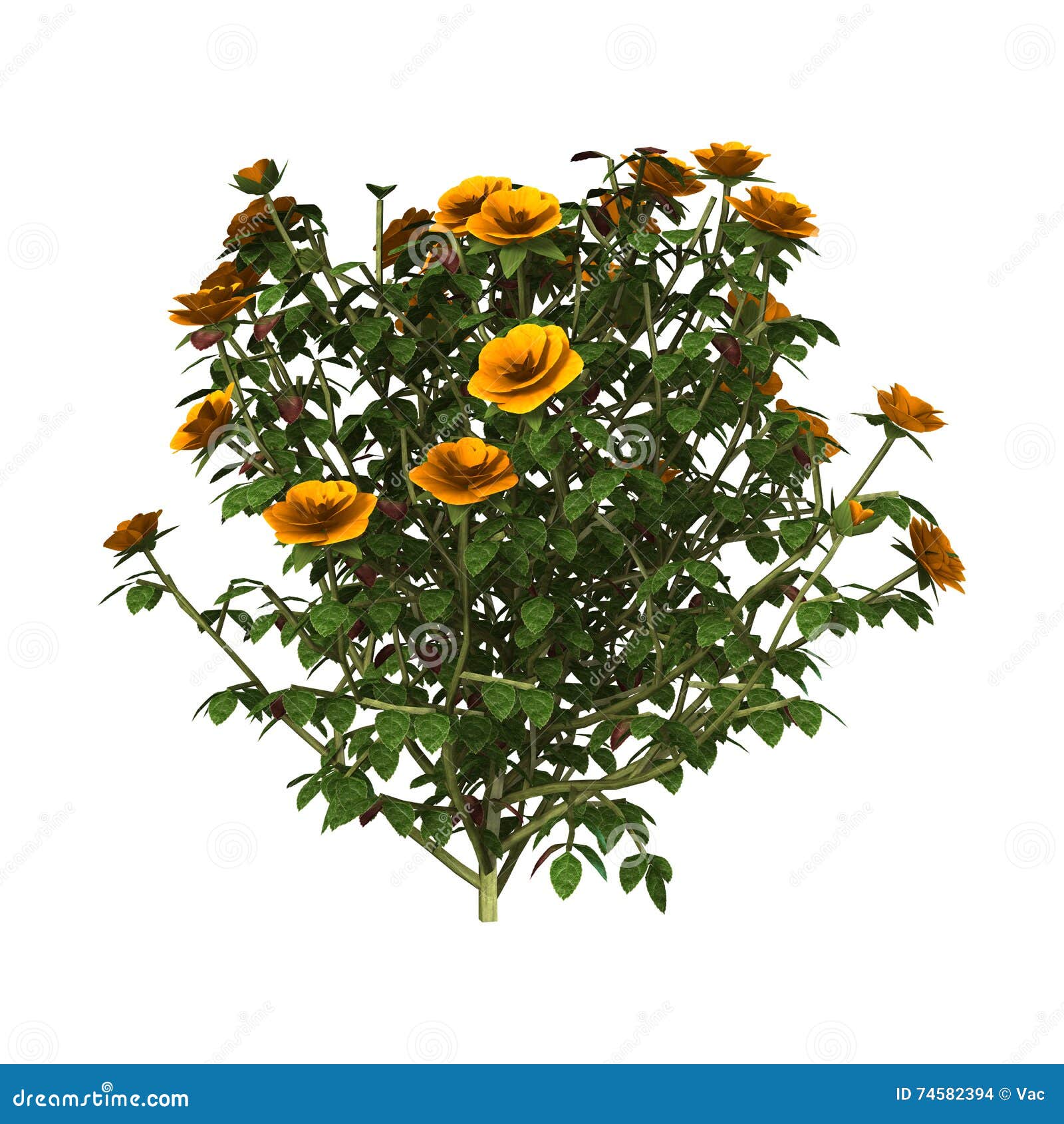 Rendering Rose Stock Illustrations – 11,127 Rendering Rose Stock ...