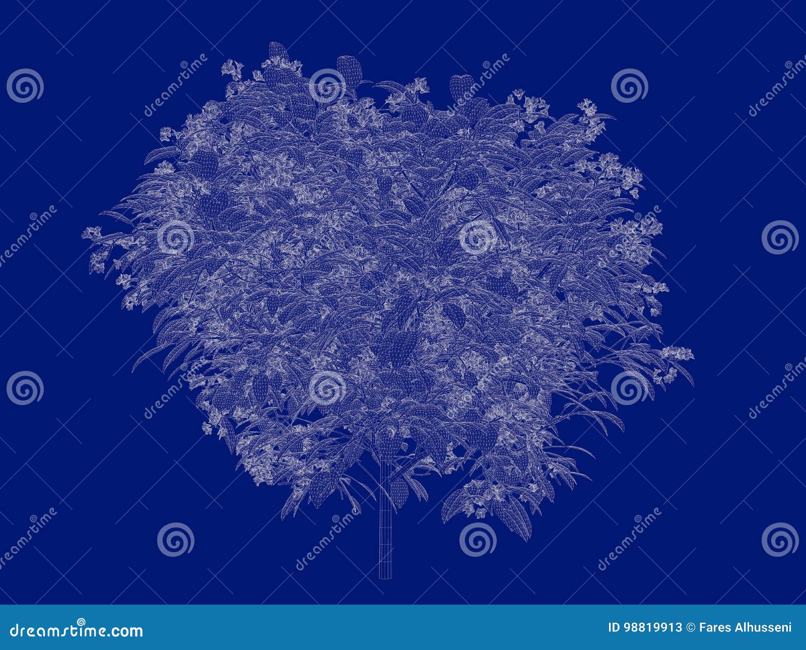 3d Rendering of an Outlined Bush Blueprint Isolated on Blue Back Stock ...