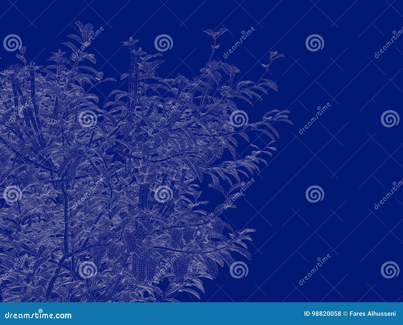 3d Rendering of an Outlined Tree Blueprint on Blue Back Stock ...