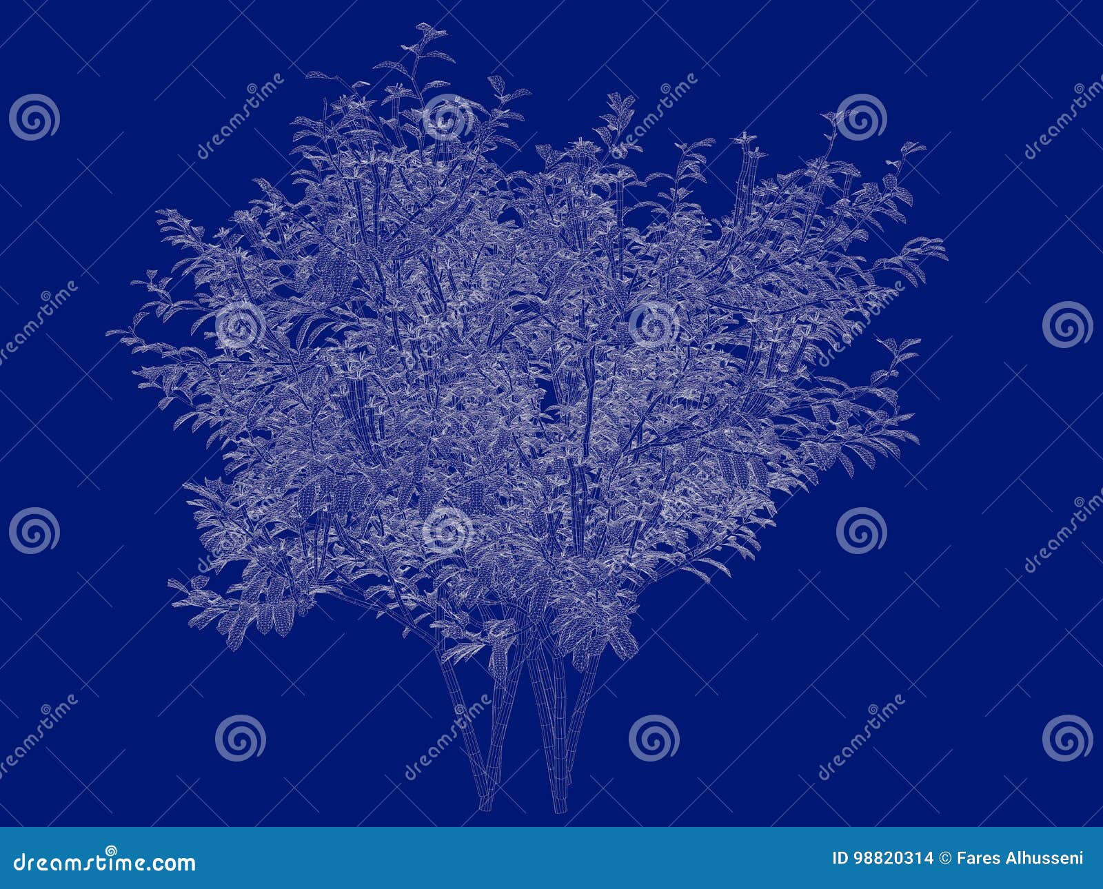 3d Rendering of an Outlined Tree Blueprint on Blue Back Stock ...