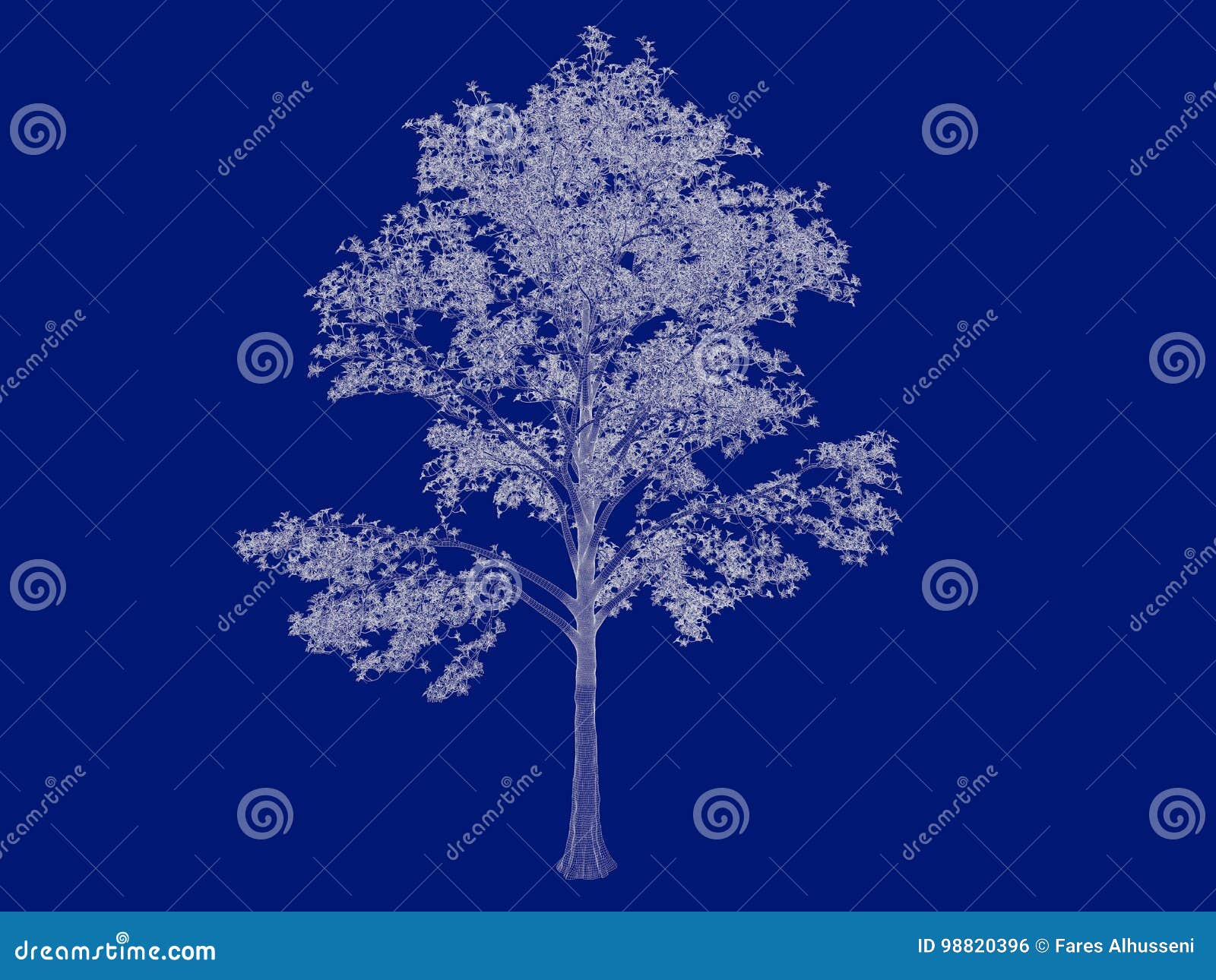 3d Rendering of an Outlined Tree Blueprint on Blue Back Stock ...