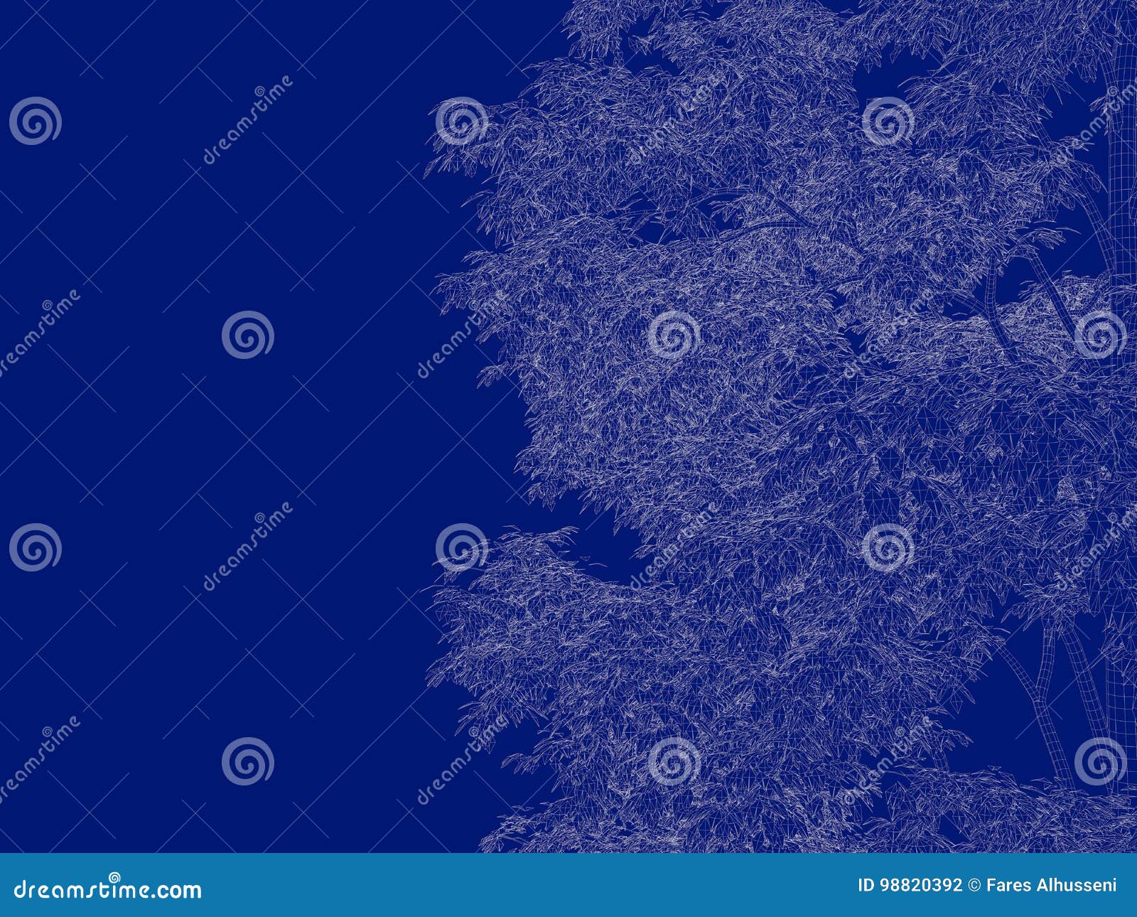 3d Rendering of an Outlined Tree Blueprint on Blue Back Stock ...