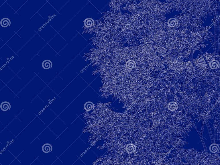 3d Rendering of an Outlined Tree Blueprint on Blue Back Stock ...