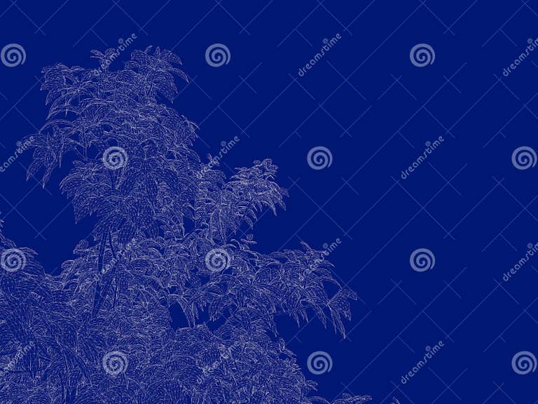 3d Rendering of an Outlined Tree Blueprint Isolated on Blue Back Stock ...