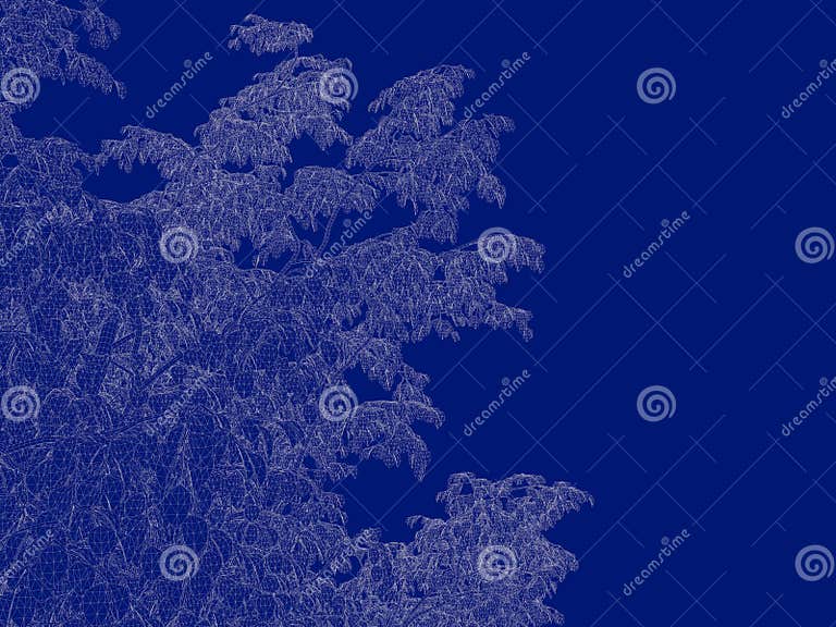 3d Rendering of an Outlined Tree Blueprint Isolated on Blue Back Stock ...