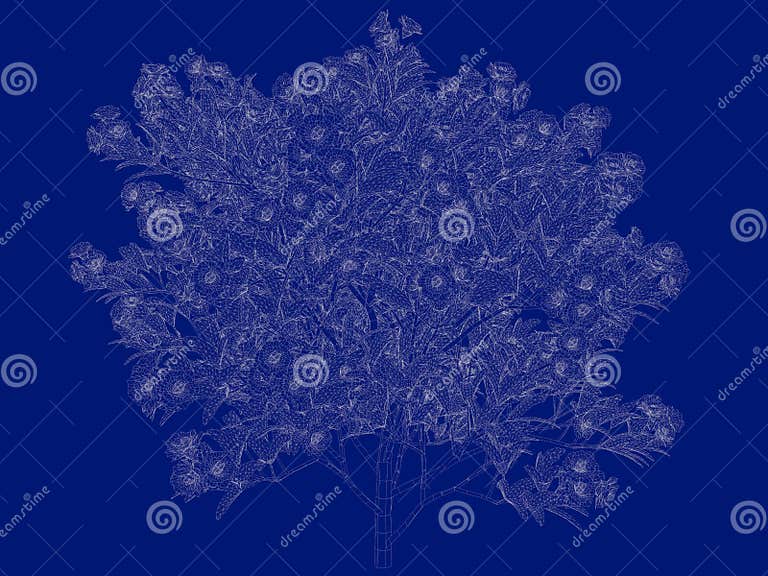 3d Rendering of an Outlined Tree Blueprint Isolated on Blue Back Stock ...
