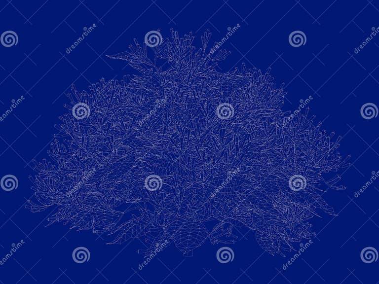 3d Rendering of an Outlined Tree Blueprint Isolated on Blue Back Stock ...