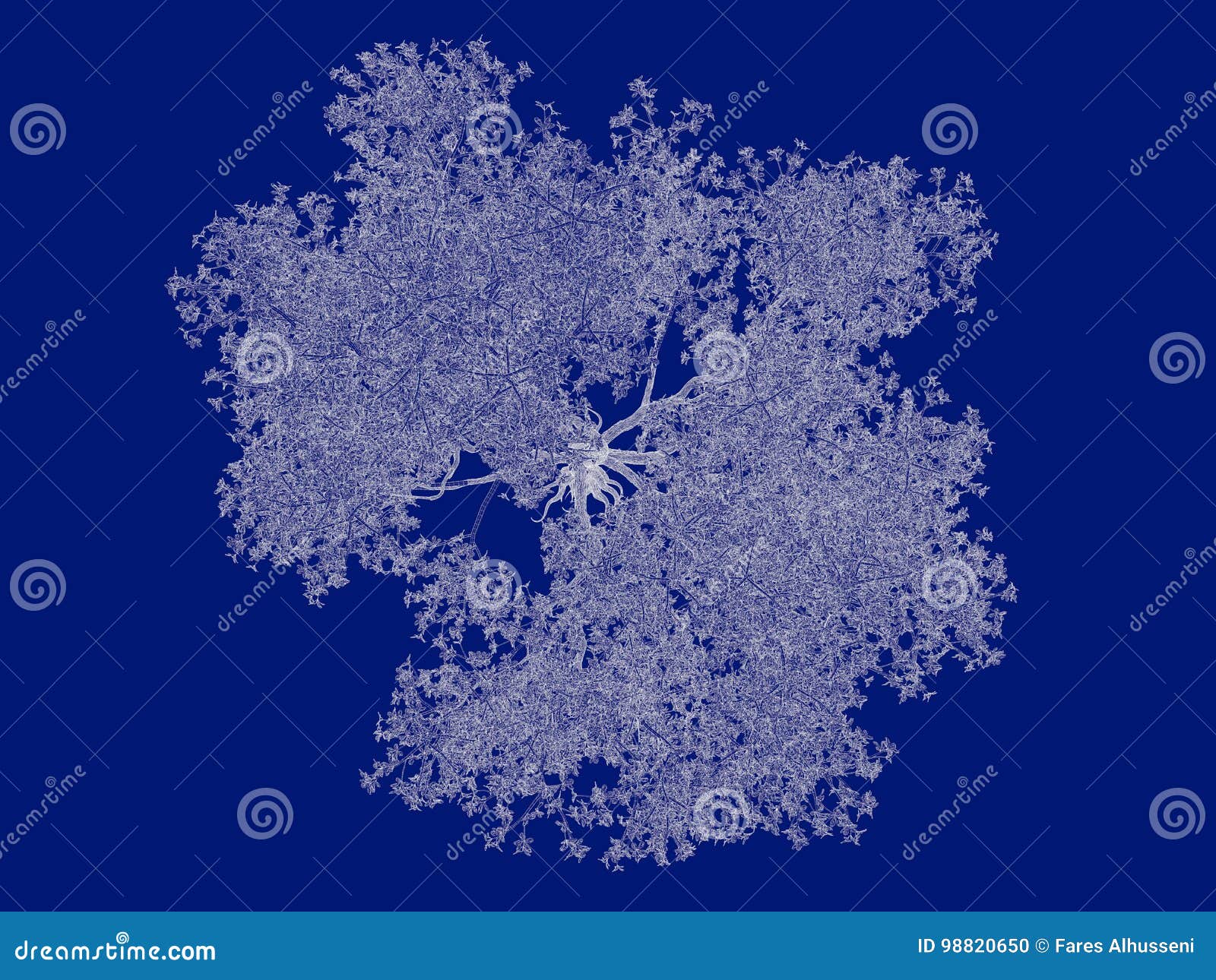 3d Rendering of an Outlined Tree Blueprint Isolated on Blue Back Stock ...