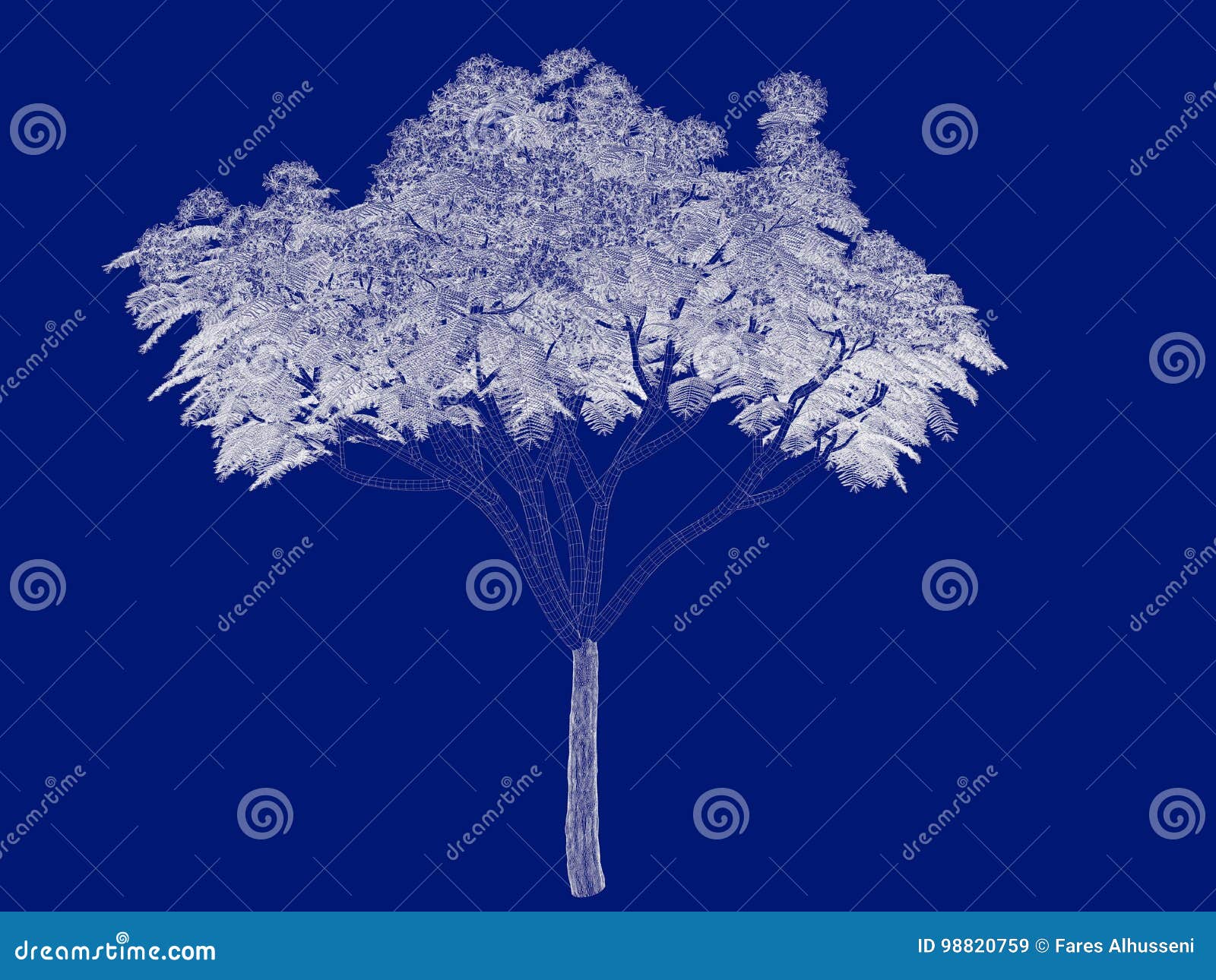 3d Rendering of an Outlined Tree Blueprint Isolated on Blue Back Stock ...