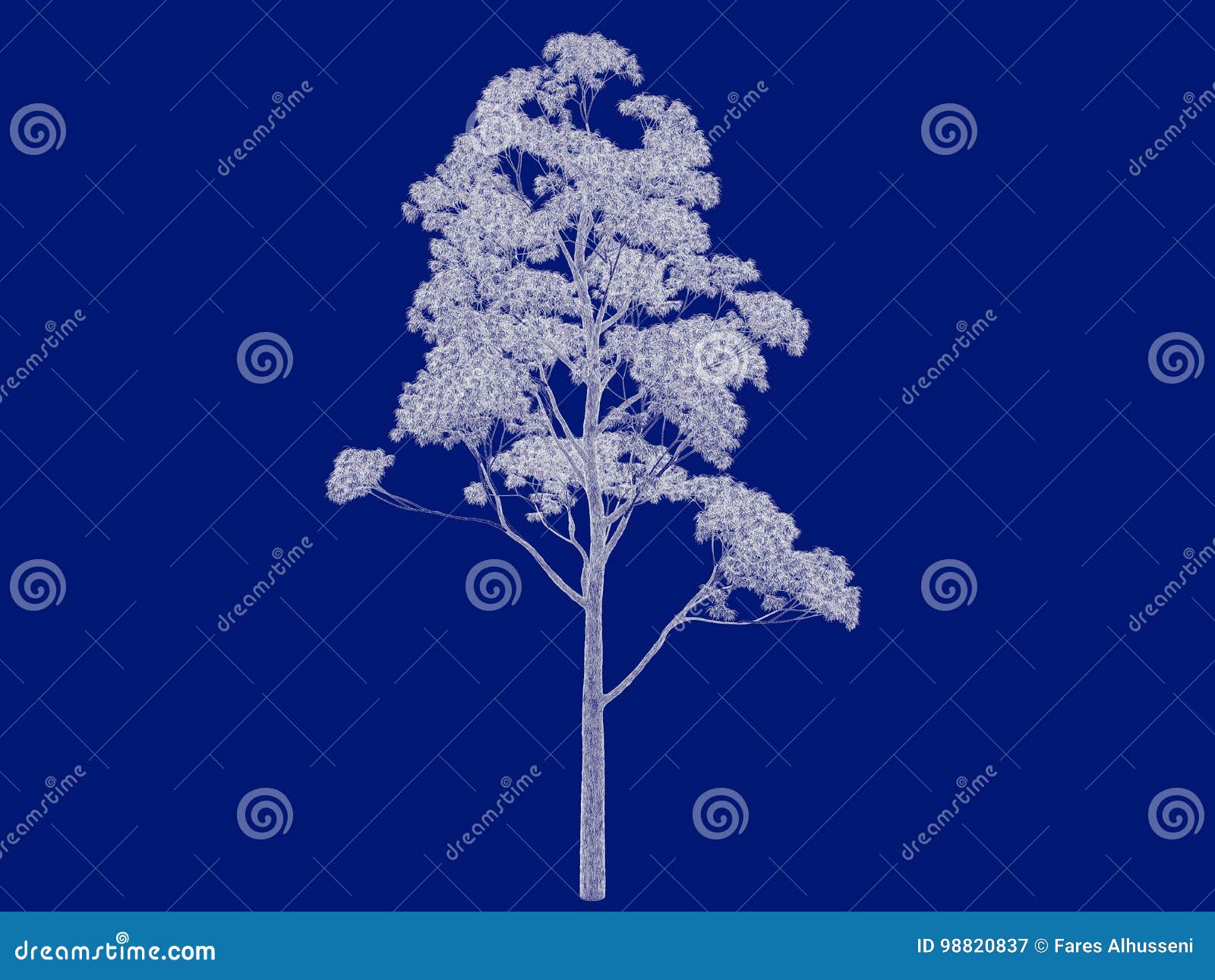 3d Rendering of an Outlined Tree Blueprint Isolated on Blue Back Stock ...