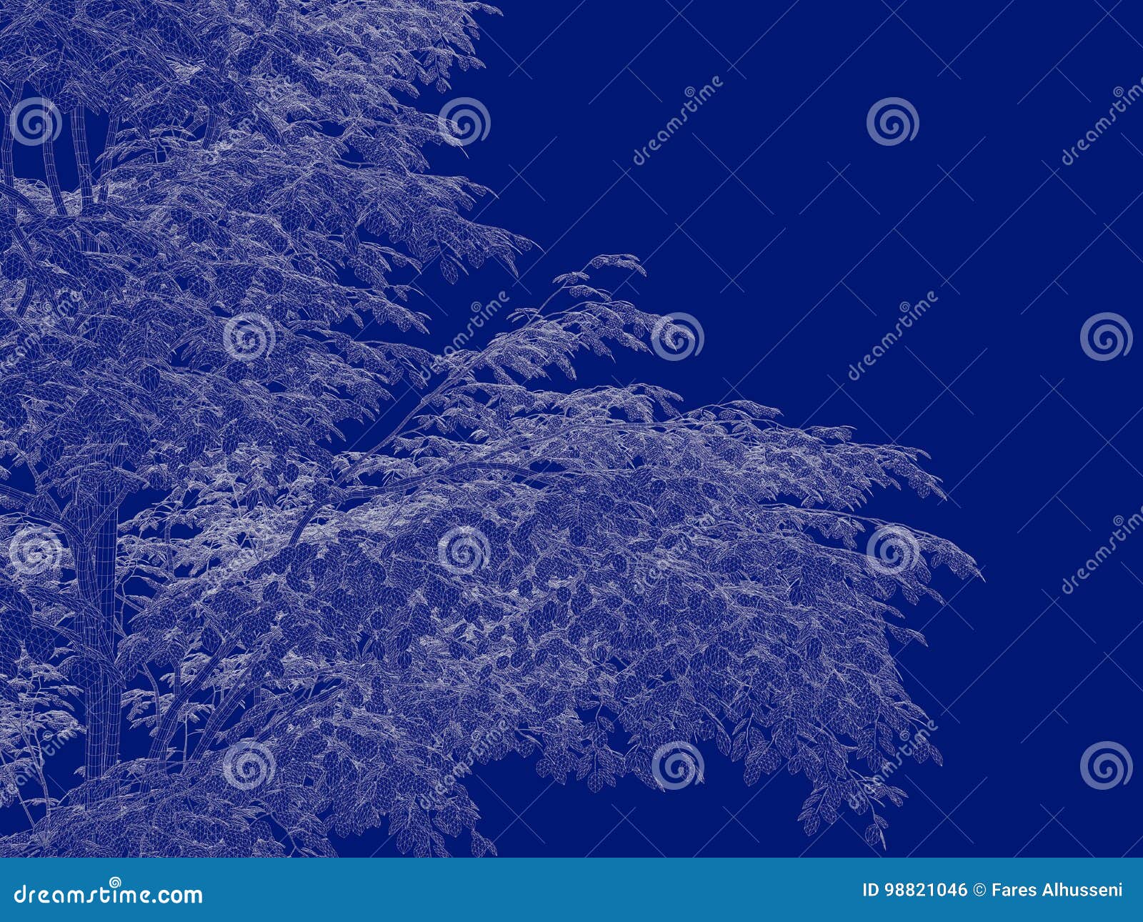 3d Rendering of an Outlined Tree Blueprint Isolated on Blue Back Stock ...