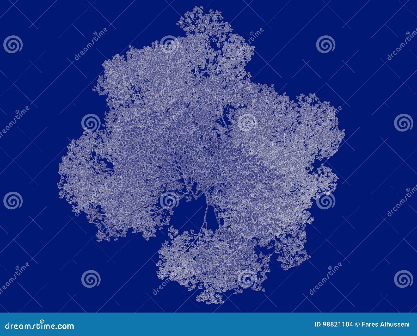 3d Rendering of an Outlined Tree Blueprint Isolated on Blue Back Stock ...