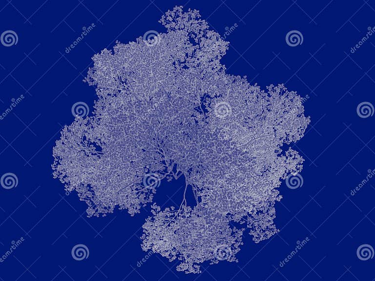 3d Rendering of an Outlined Tree Blueprint Isolated on Blue Back Stock ...