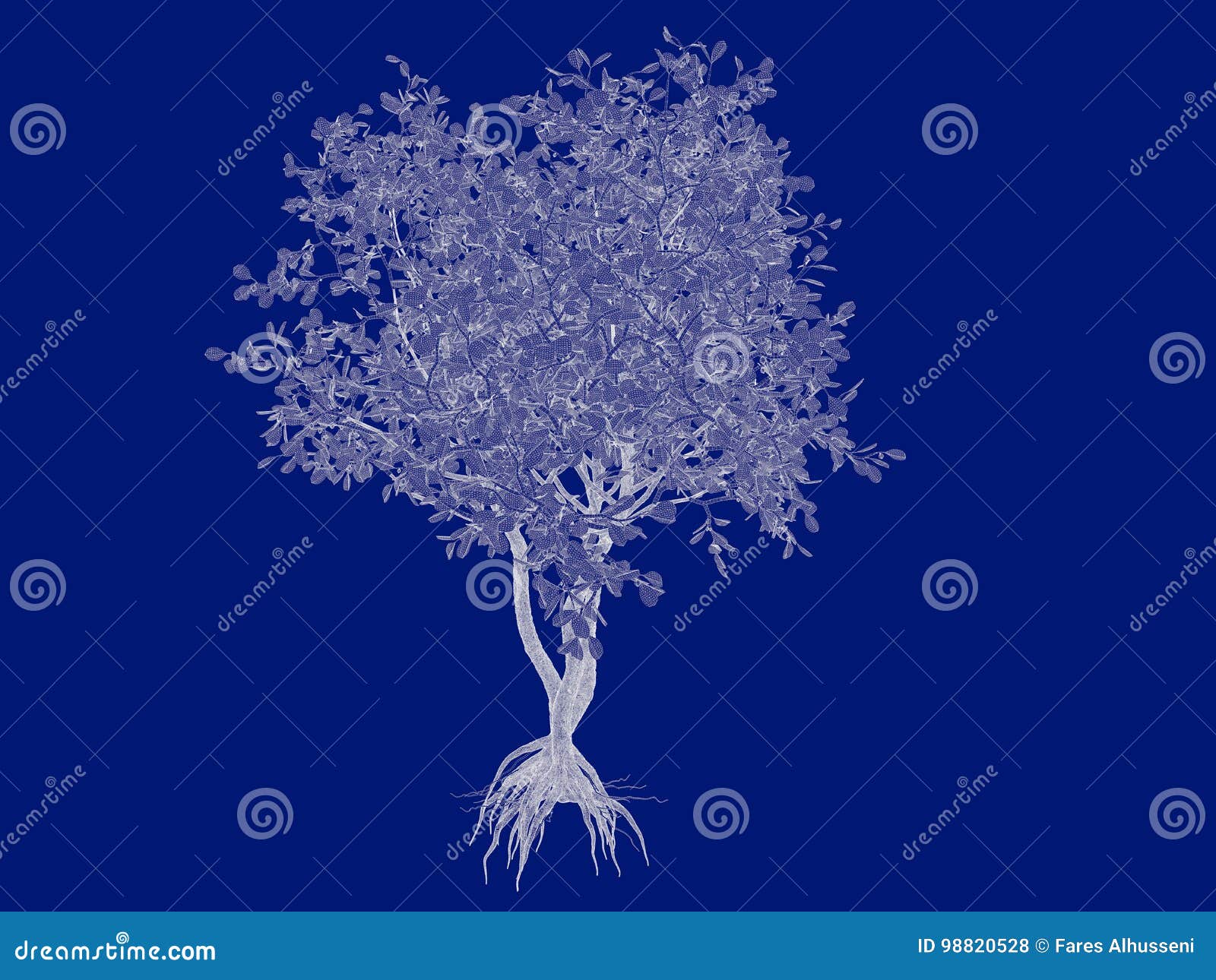 3d Rendering of an Outlined Tree Blueprint Isolated on Blue Back Stock ...