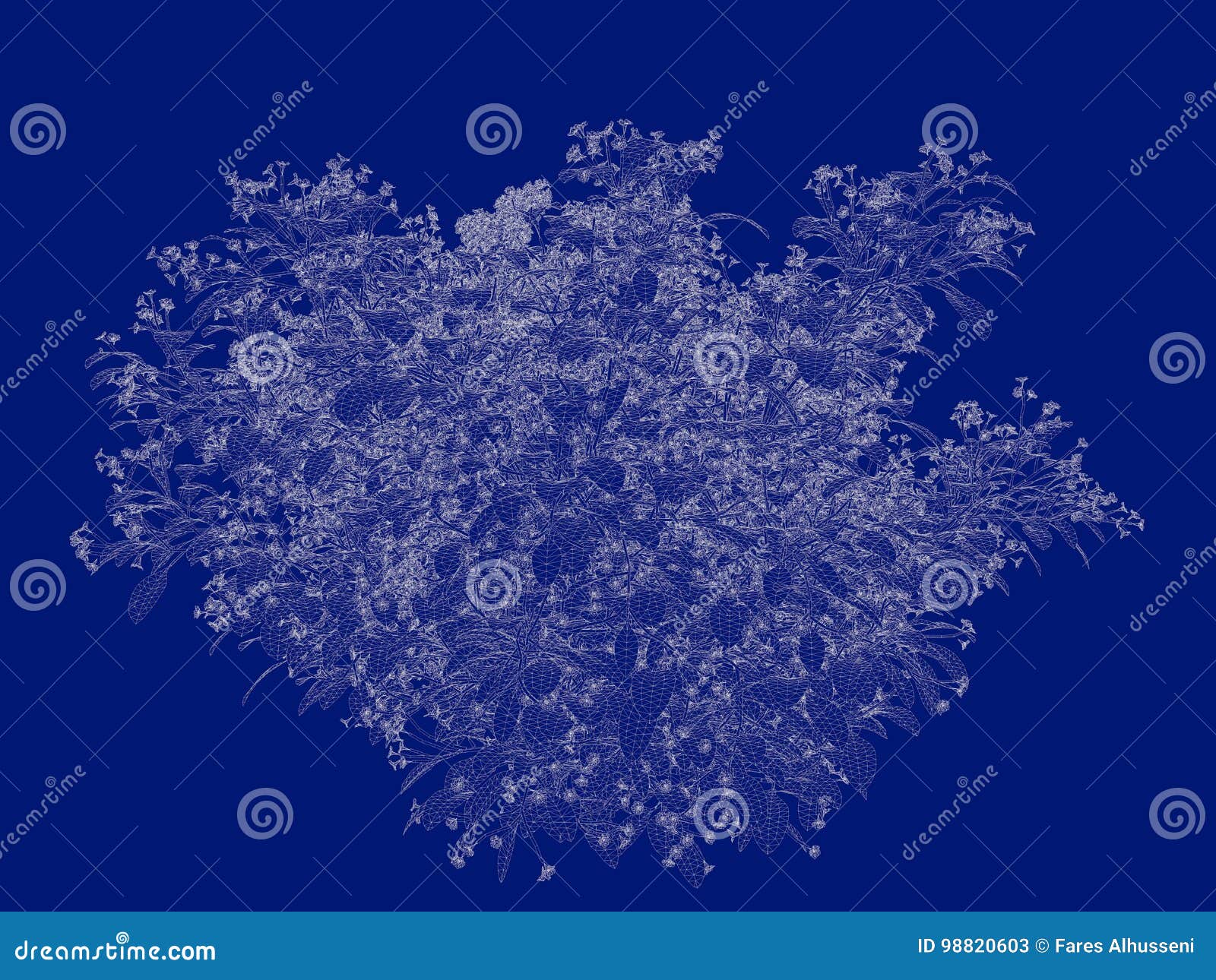 3d Rendering of an Outlined Tree Blueprint Isolated on Blue Back Stock ...