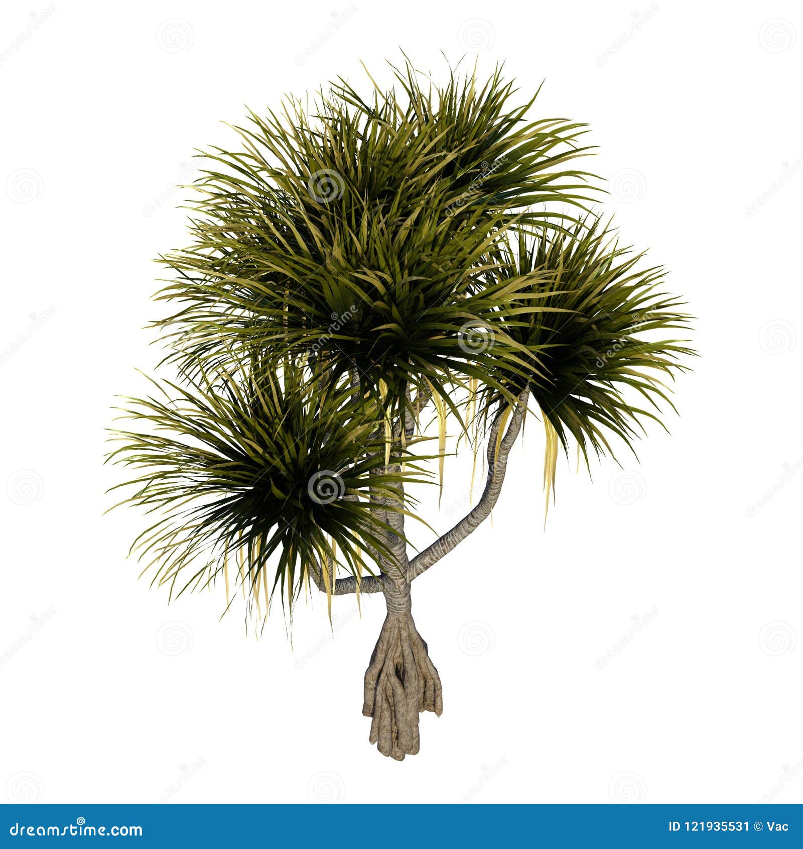 Pandanus Tree Royalty-Free Stock Photography | CartoonDealer.com #39106709