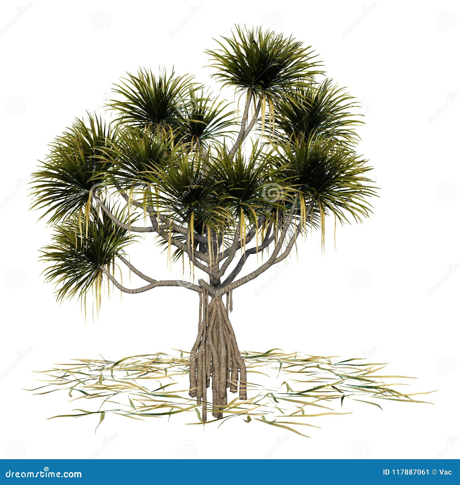 Pandanus Tree Black Silhouette. Palm-like Trees Cartoon Vector ...