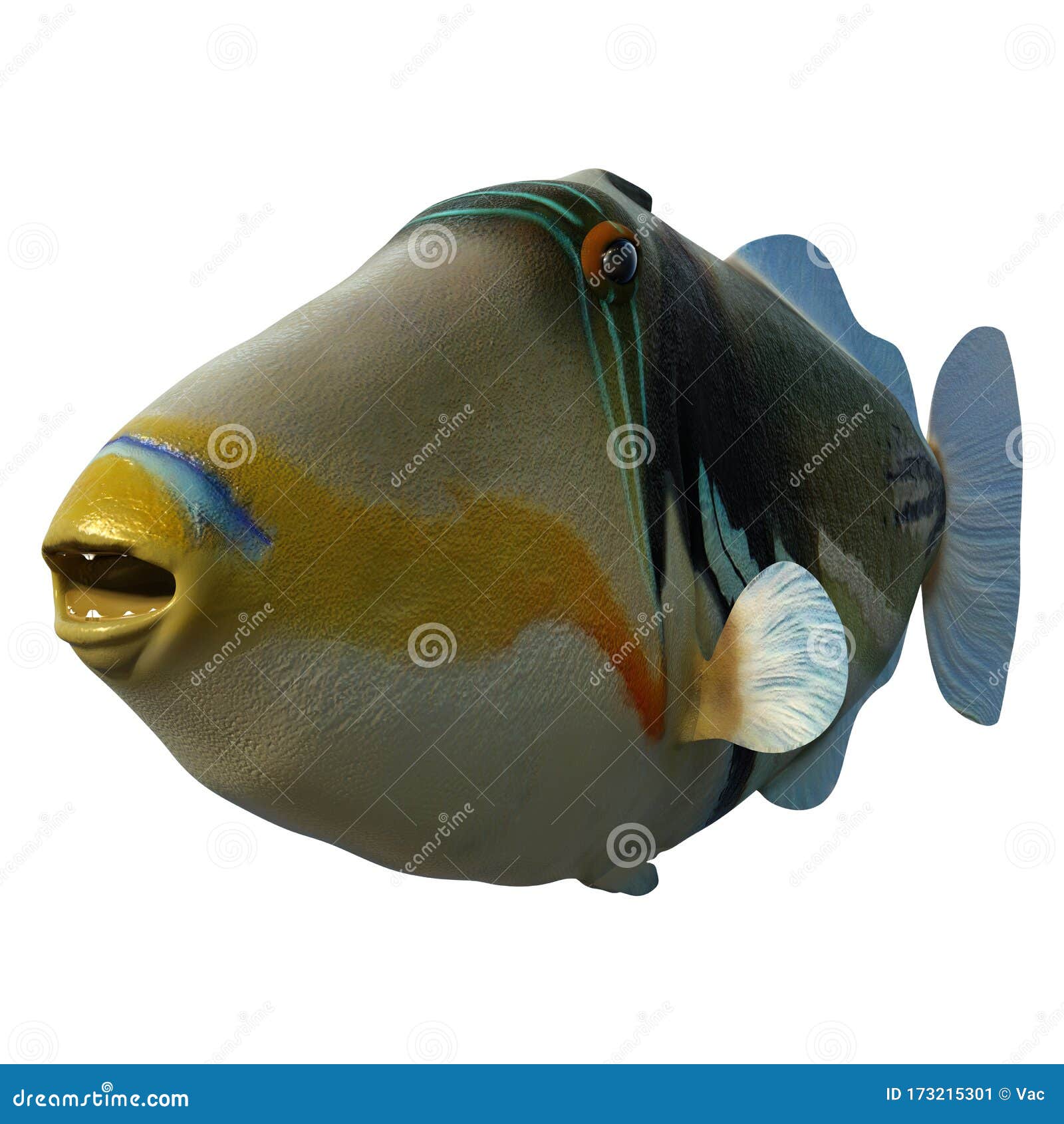 Picasso Triggerfish. Fish Isolated On White Background Cartoon Vector ...