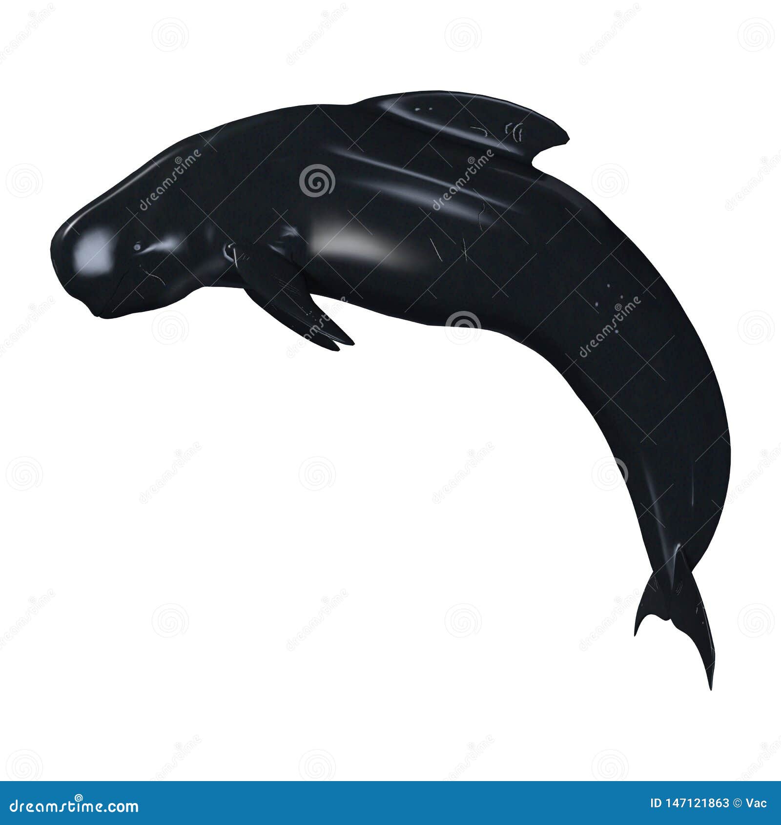 3D Rendering Pilot Whale On White Stock Illustration - Illustration of ...