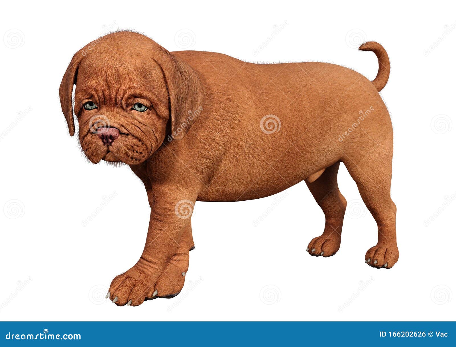 3D Rendering Puppy on White Stock Illustration - Illustration of ...