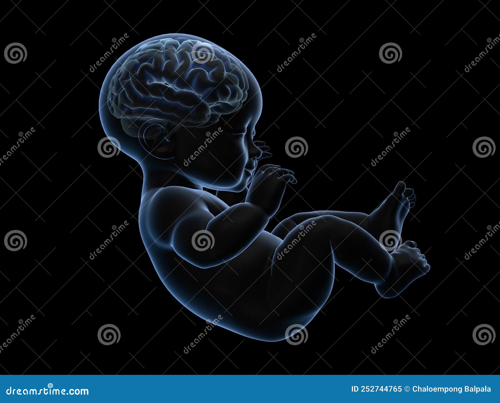 X-ray Image of Baby with a Brain Inside. Stock Illustration ...