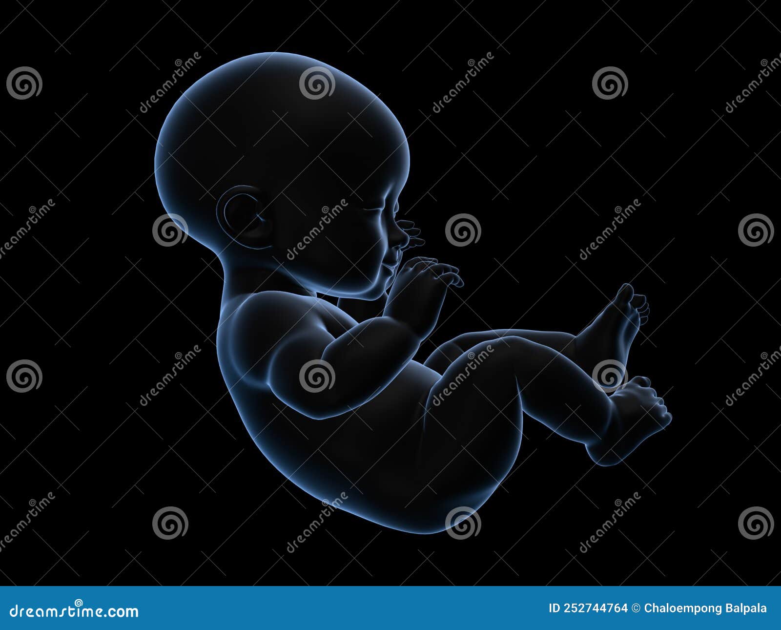 X-ray image of baby. stock illustration. Illustration of clinical ...
