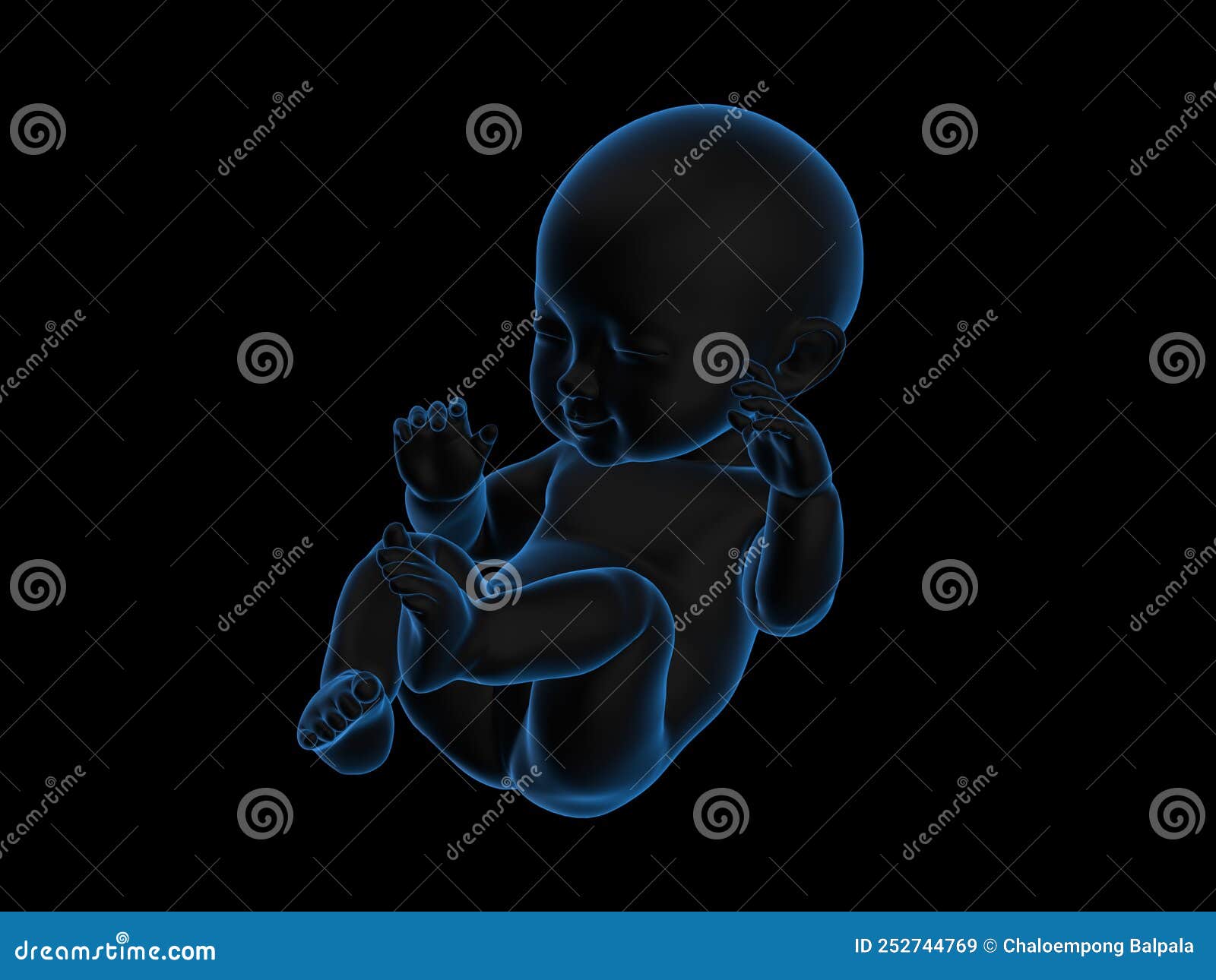 X-ray image of baby. stock illustration. Illustration of logo - 252744769
