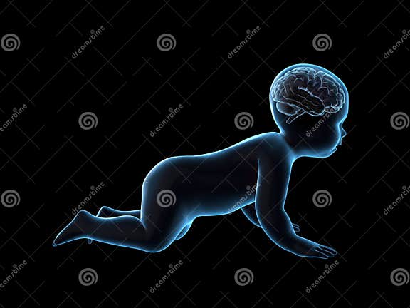 X-ray Image of Crawling Baby with Brain Inside. Stock Illustration ...