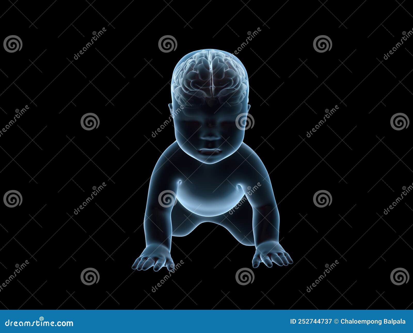 X-ray Image of Crawling Baby with Brain Inside. Stock Illustration ...