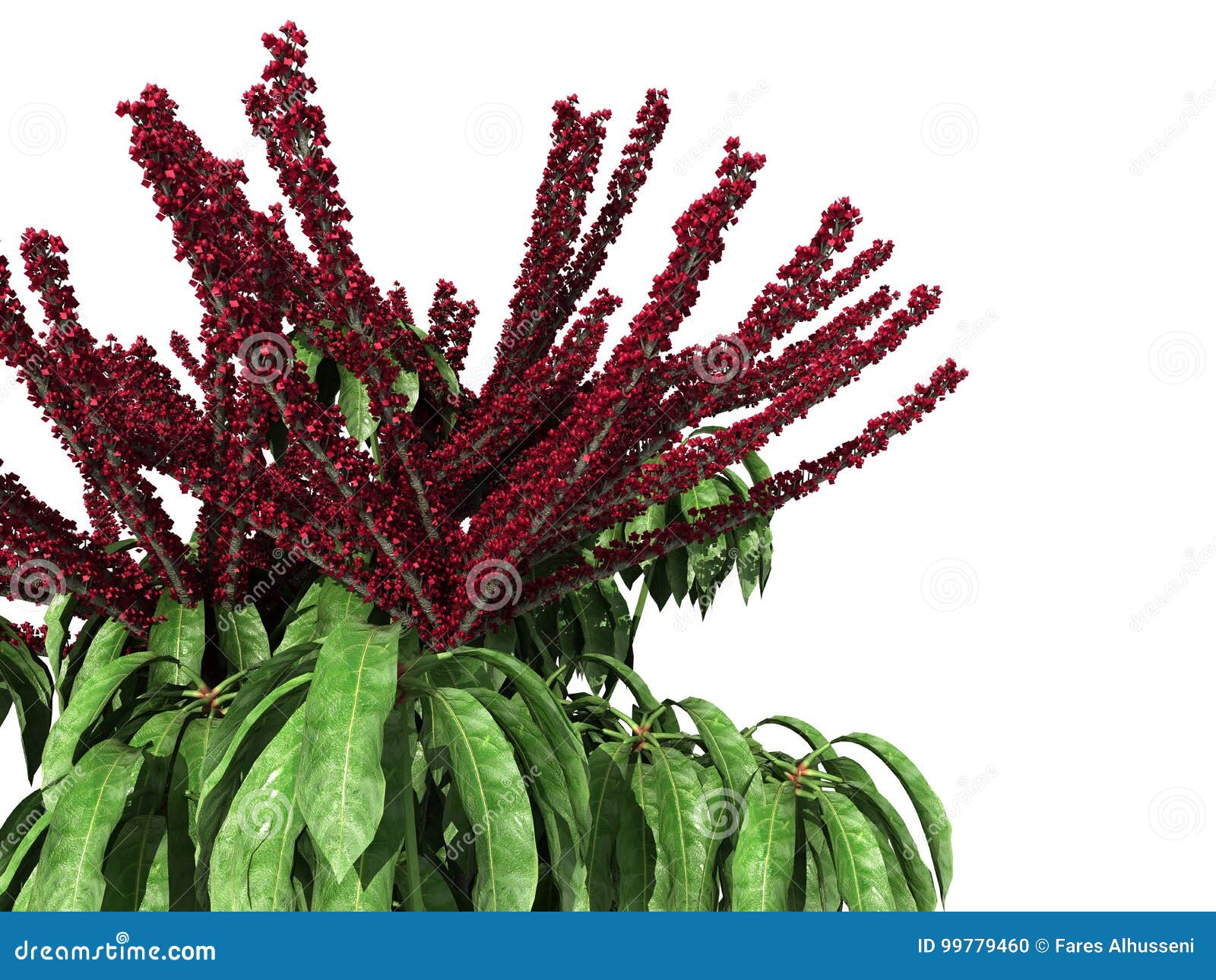 3d Rendering of a Realistic Flower Bush from Front View Isolate Stock ...