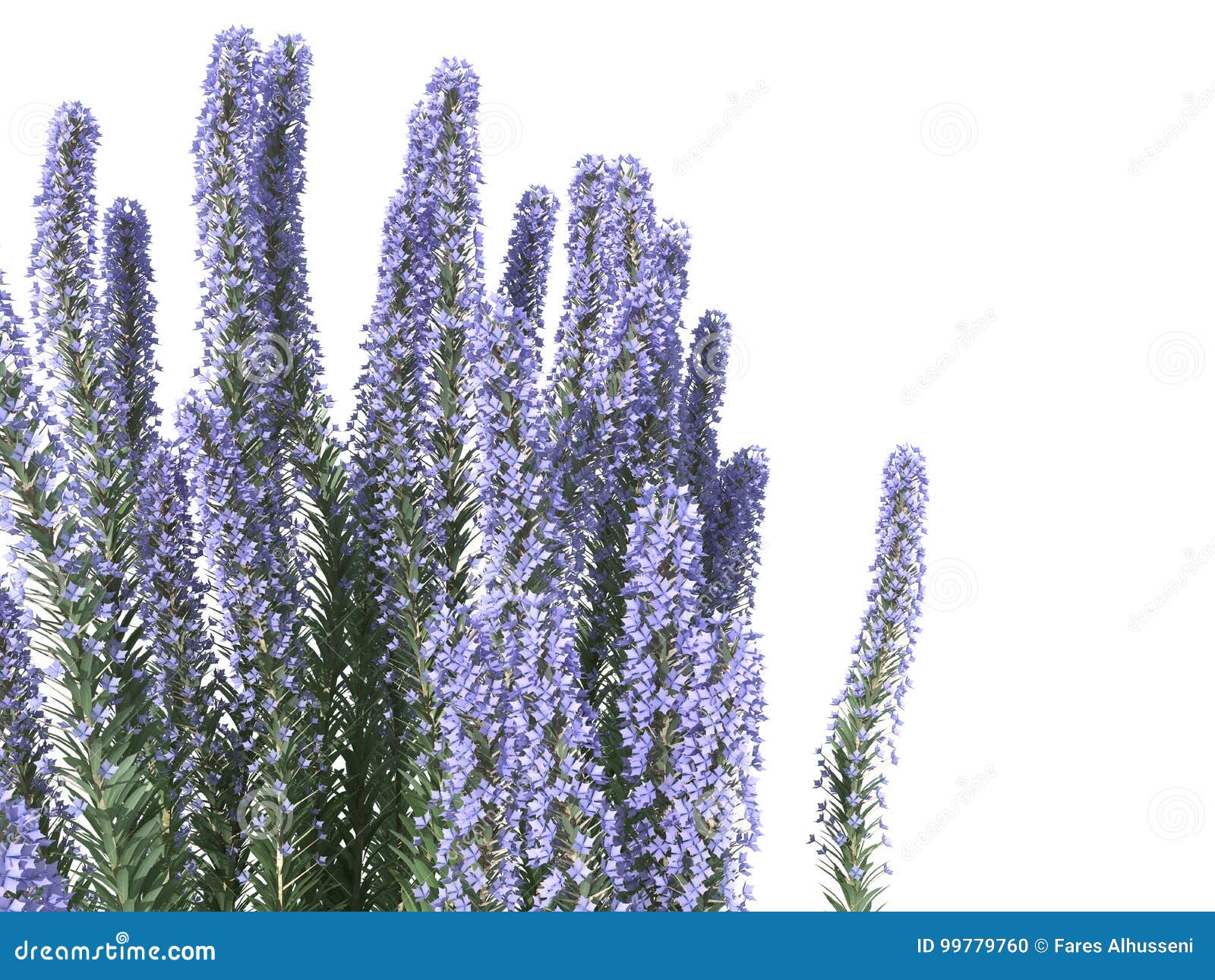 3d Rendering of a Realistic Flower Bush from Front View Isolate Stock ...