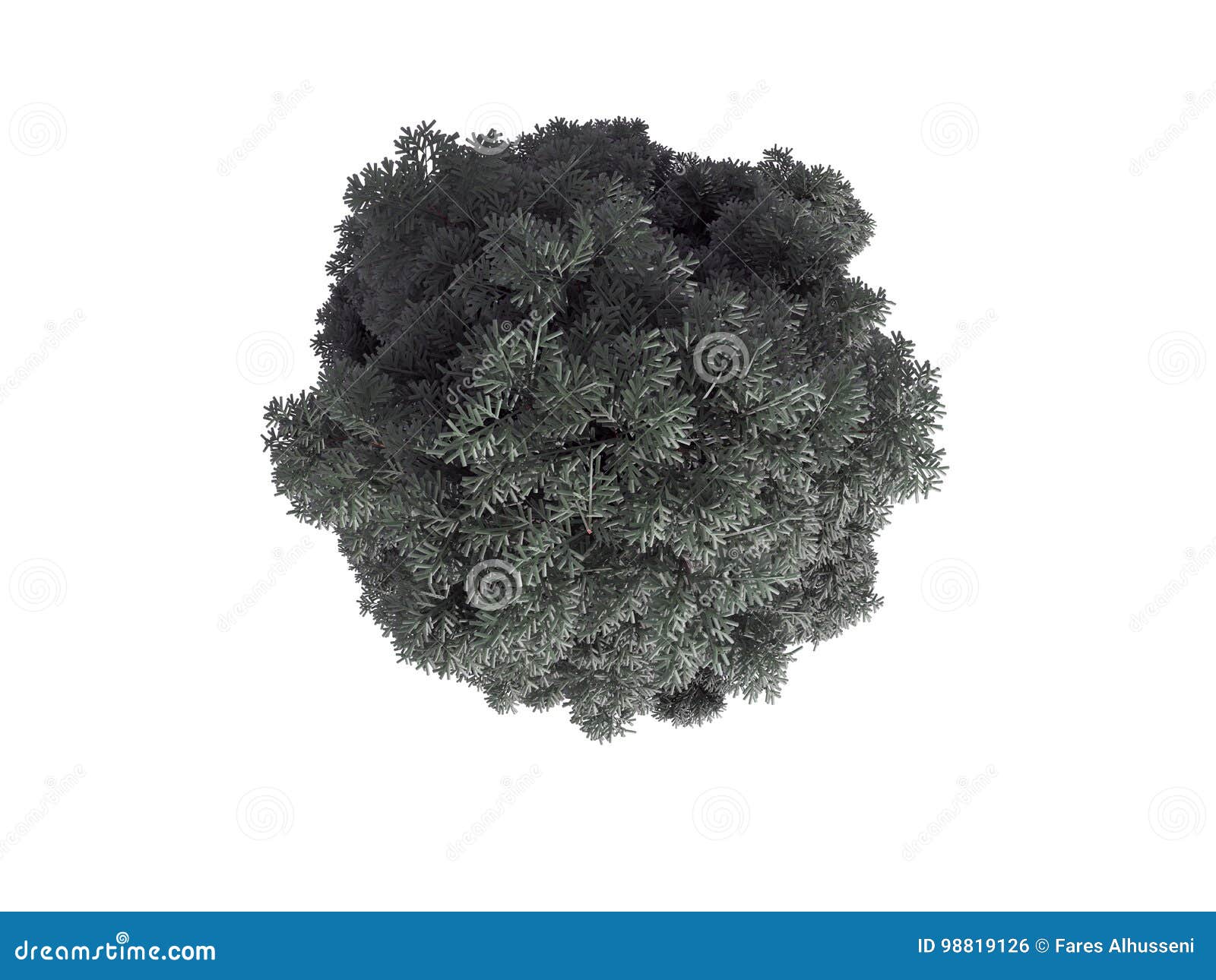 3d Rendering of a Realistic Green Top View Tree Isolated on Whit Stock ...