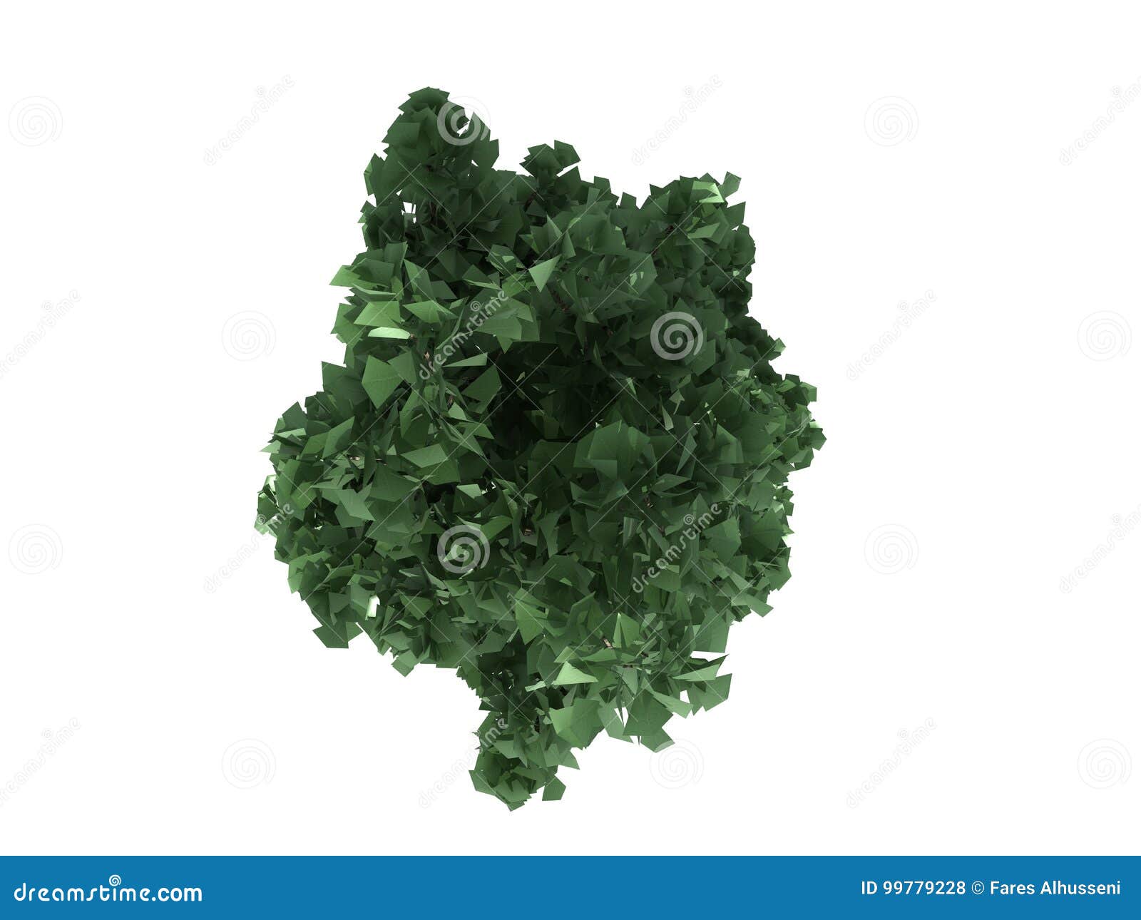 3d Rendering of a Realistic Green Tree Top View Isolated on Whit Stock ...