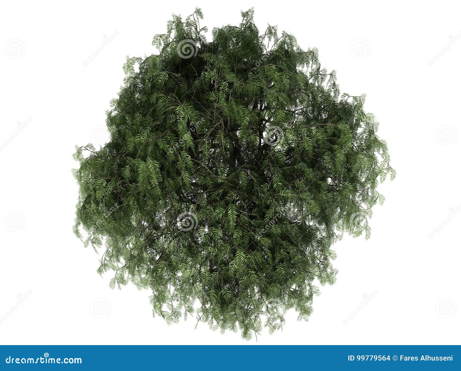 3d Rendering Of A Realistic Green Tree Top View Isolated On Whit Stock ...
