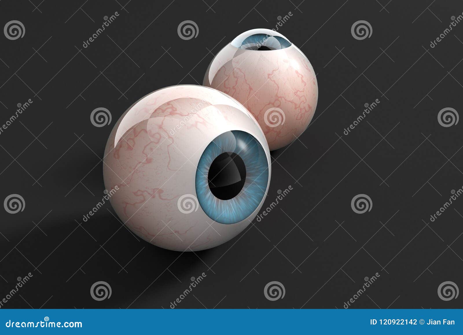3d Rendering, Realistic Human Eye Model Stock Illustration ...