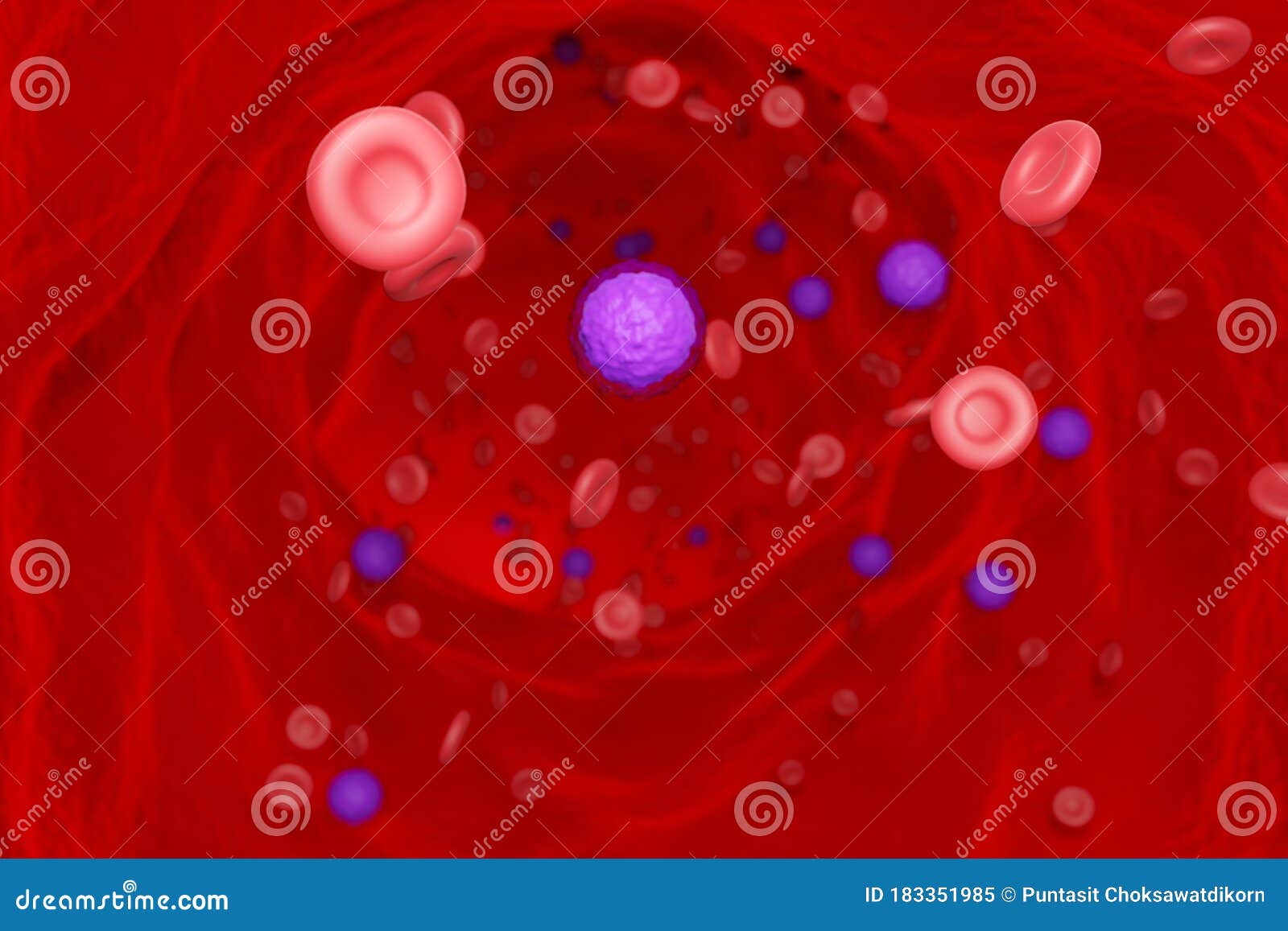 3D Rendering Red Blood Cell and White Blood Cell Flow in Blood Vessel ...