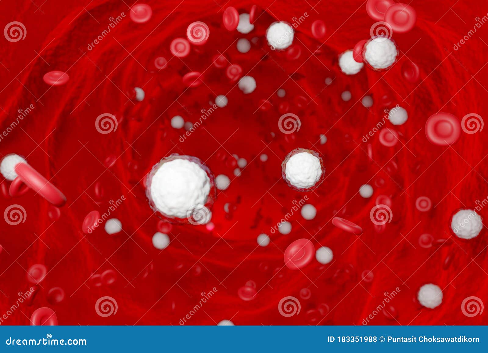 3D Rendering Red Blood Cell and White Blood Cell Flow in Blood Vessel ...