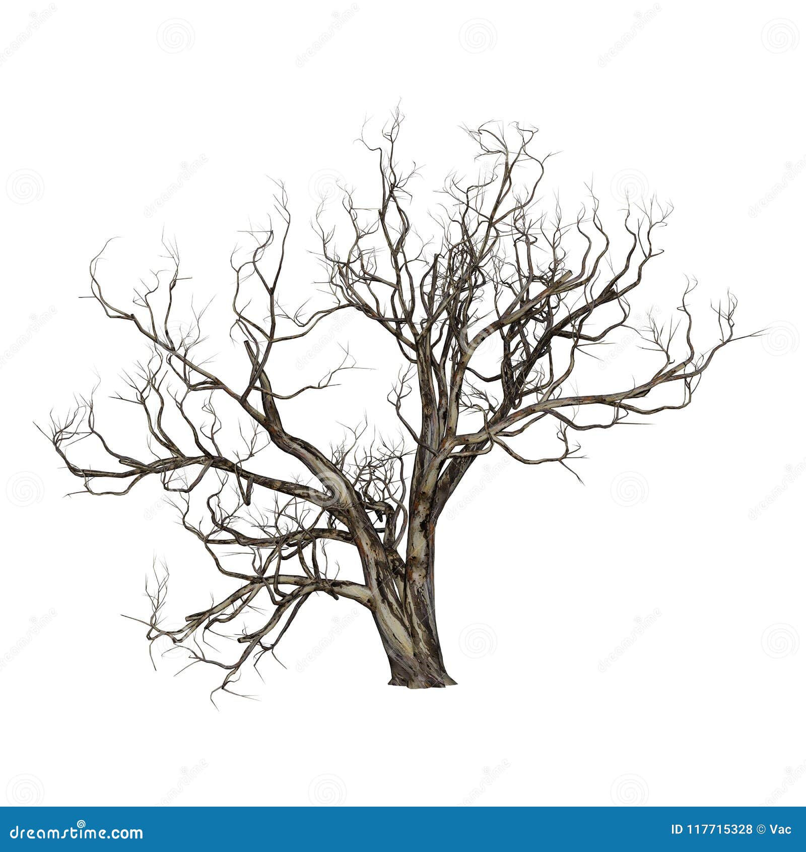 3D Rendering Red Gum Tree on White Stock Illustration - Illustration of ...