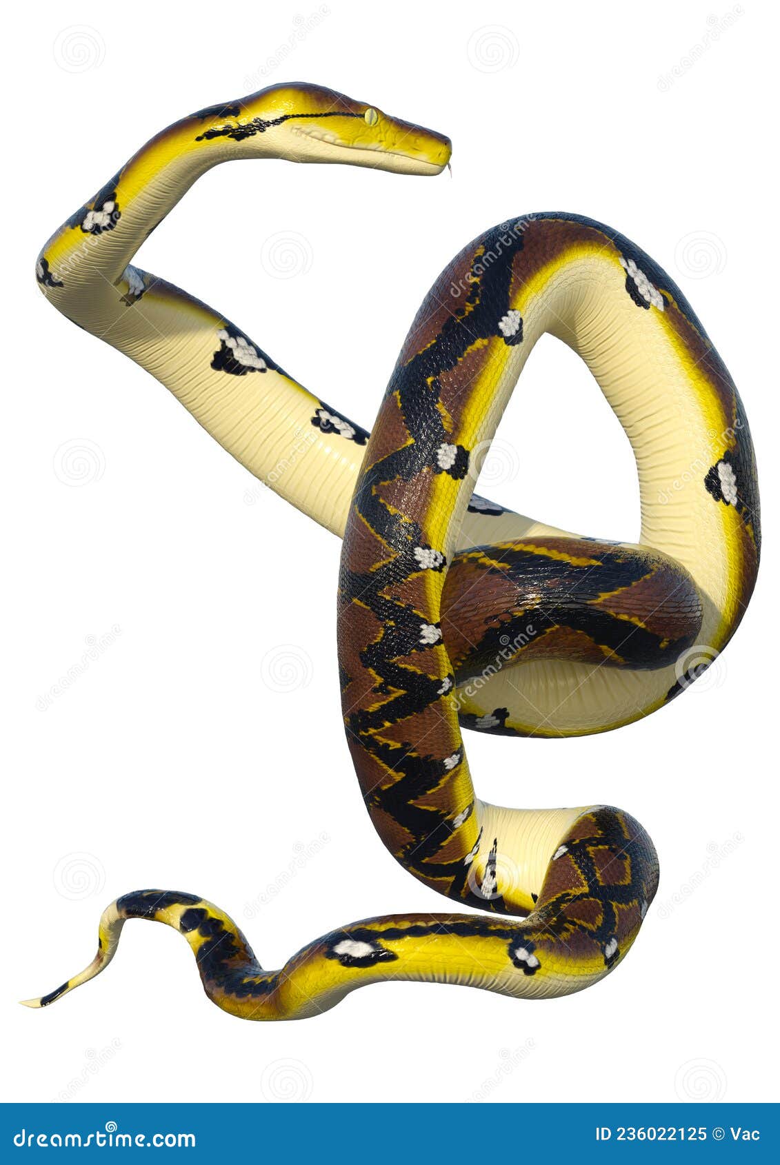 3D Rendering Reticulated Python on White Stock Illustration ...