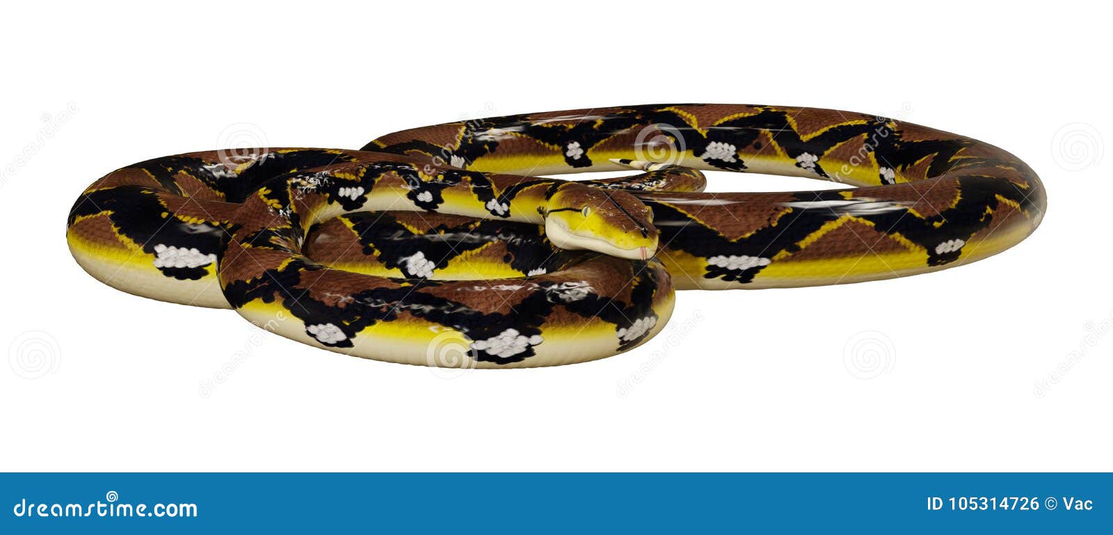 3D Rendering Reticulated Python on White Stock Illustration ...