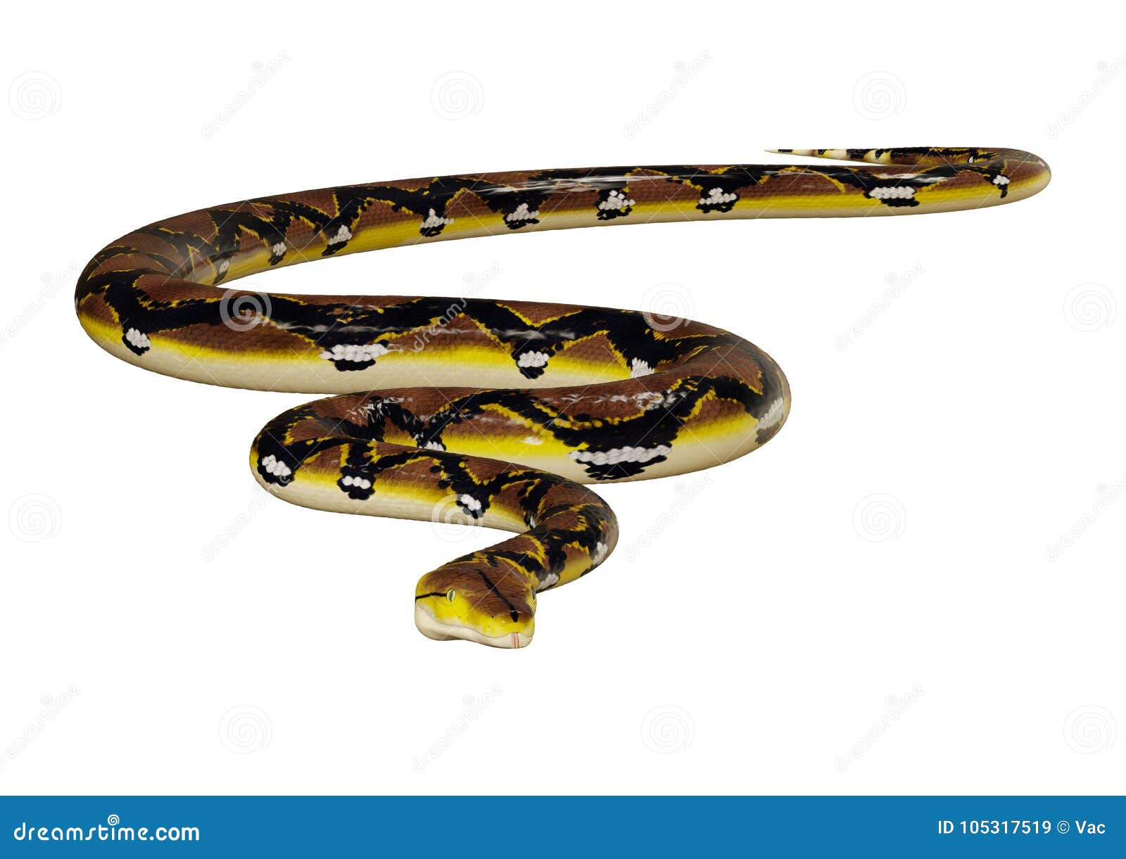 3D Rendering Reticulated Python on White Stock Illustration ...