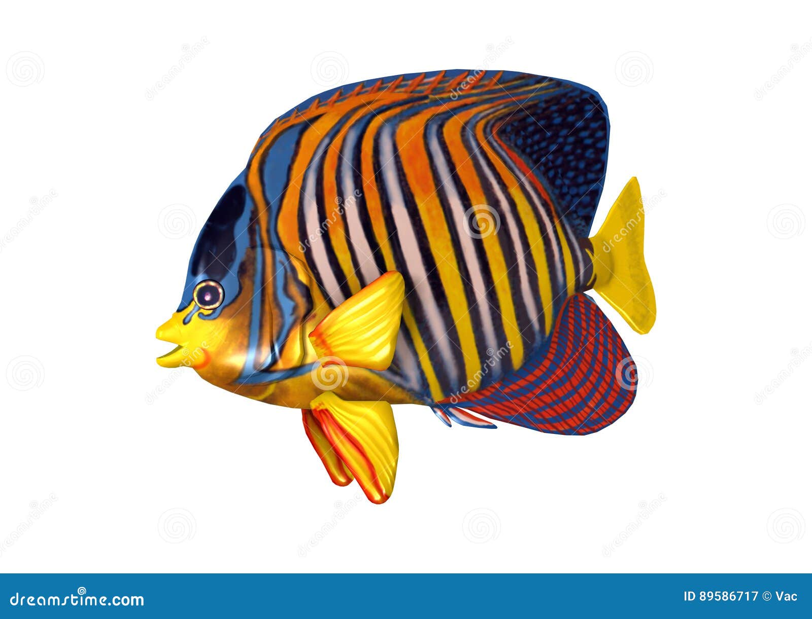 Royal Angelfish Royalty-Free Stock Photography | CartoonDealer.com ...
