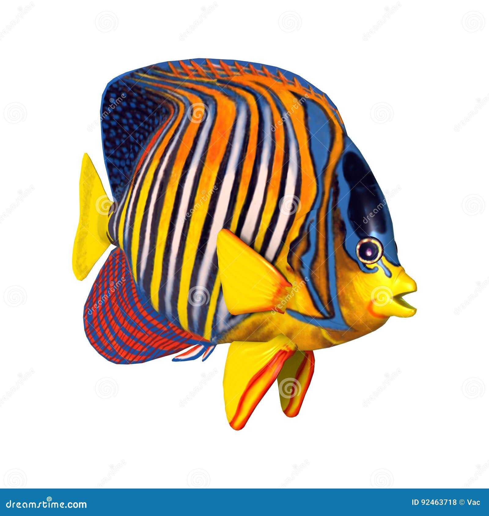 Royal Angelfish Royalty-Free Stock Photography | CartoonDealer.com ...