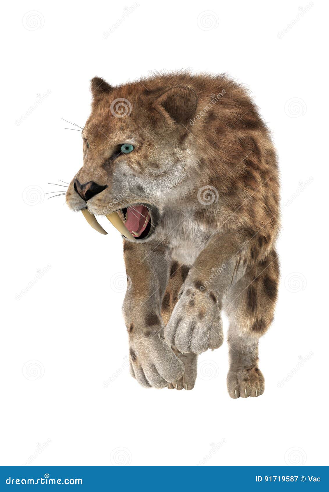 3D Rendering Saber Tooth Tiger on White Stock Illustration ...