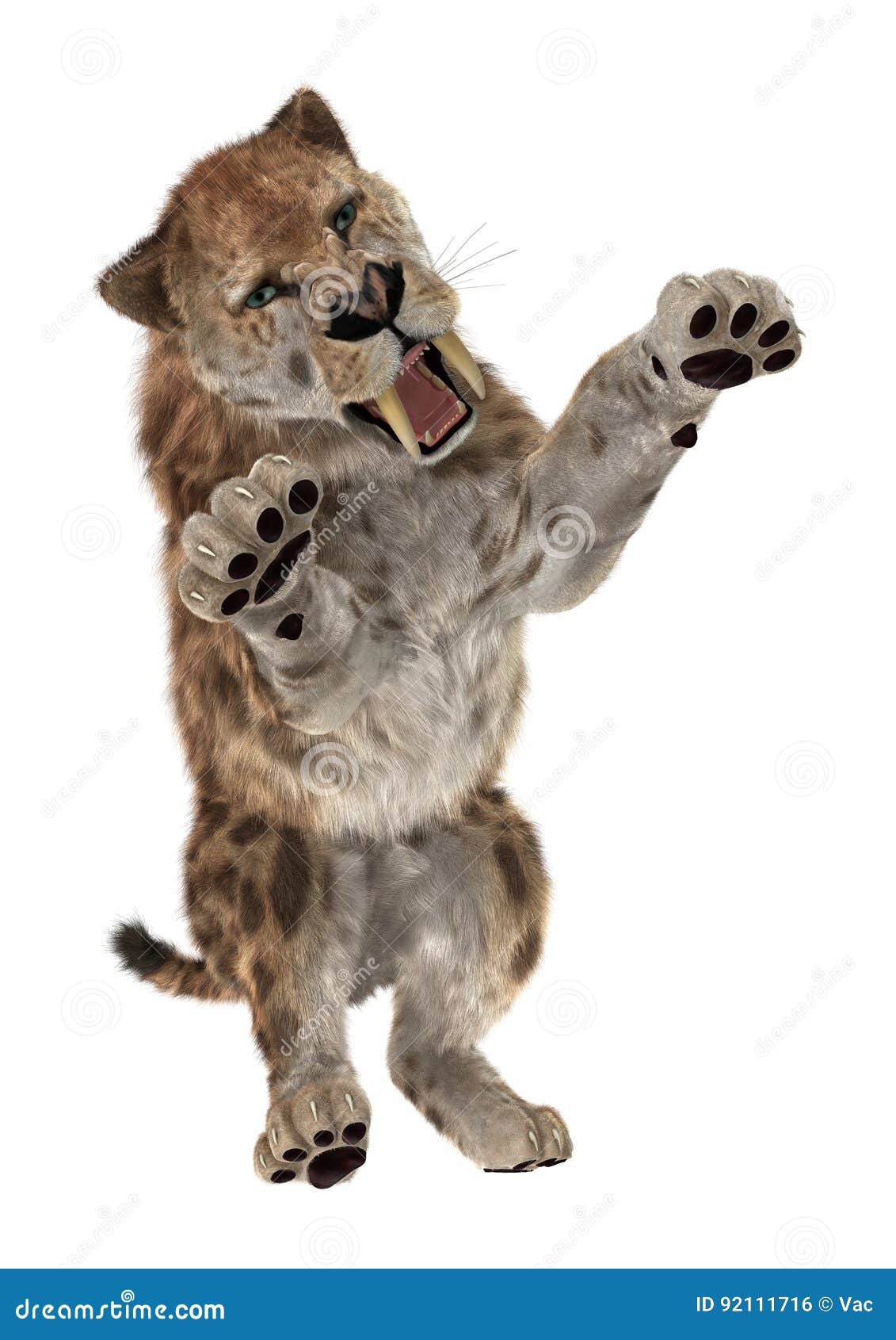 3D Rendering Saber Tooth Tiger on White Stock Photo - Image of jumping ...